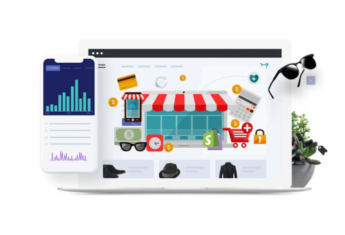 Shopify Dropshipping Store Design | We Build Automated Dropshipping ...